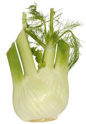 How to grow fennel in pots or window boxes - KALLIERGO