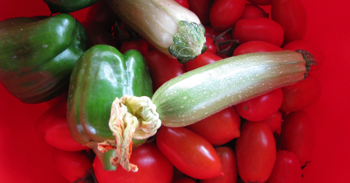 Tomato support with reeds - Tomatoes, peppers, zucchini - Produced from ...