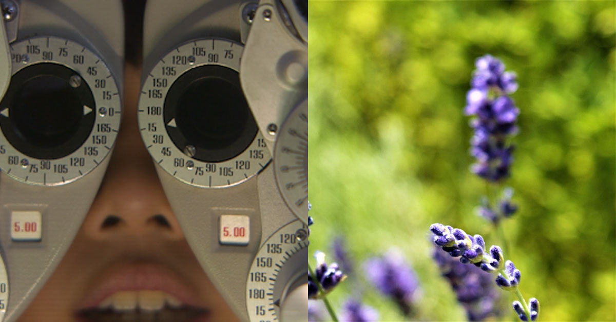 Why myopia increases in children. The relationship with the garden, the ...