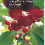 Καλλιέργεια Κερασιάς σε Κήπο και Γλάστρα. Επικονιαστές - Καλλιεργώ