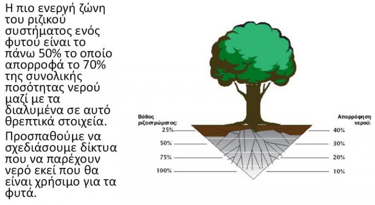 Πότισμα Φυτών – Πότε και Πως Ποτίζουμε τα Φυτά στον Κήπο μας - ΚΑΛΛΙΕΡΓΩ
